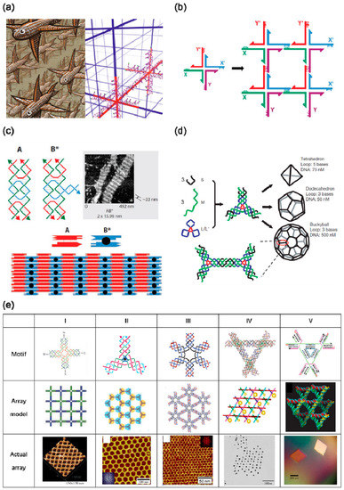 Bottom-Up Self-Assembly Based on DNA Nanotechnology