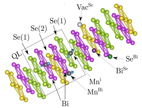 Twin Domain Structure in Magnetically Doped Bi2Se3 Topological Insulator