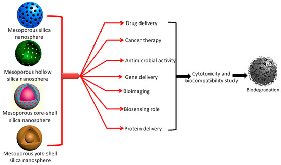 Recent Trends in Morphology-Controlled Synthesis and Application of Mesoporous Silica Nanoparticles