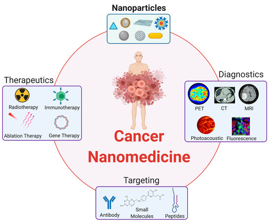 Understanding Nanoparticle Toxicity to Direct a Safe-by-Design Approach in Cancer Nanomedicine