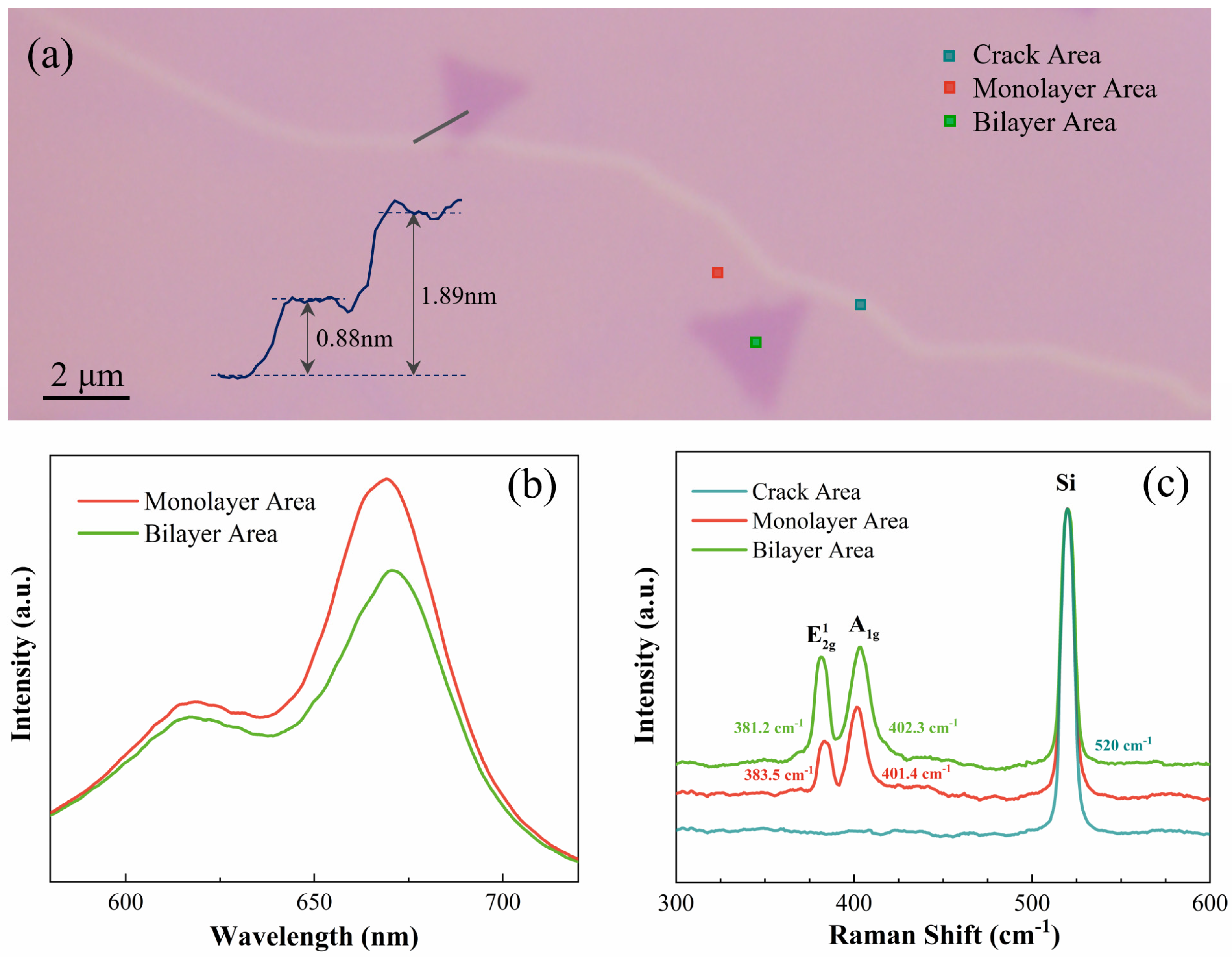 Machine Learning Analysis of Raman Spectra of MoS2