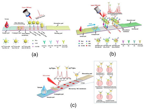 Surface-Enhanced Raman Scattering-Based Lateral-Flow Immunoassay
