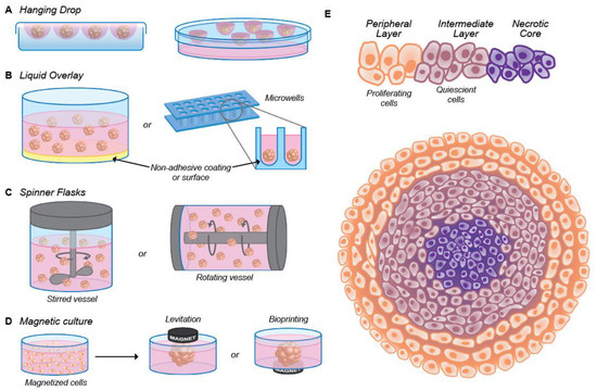 From 2D to 3D Cancer Cell Models—The Enigmas of Drug Delivery Research