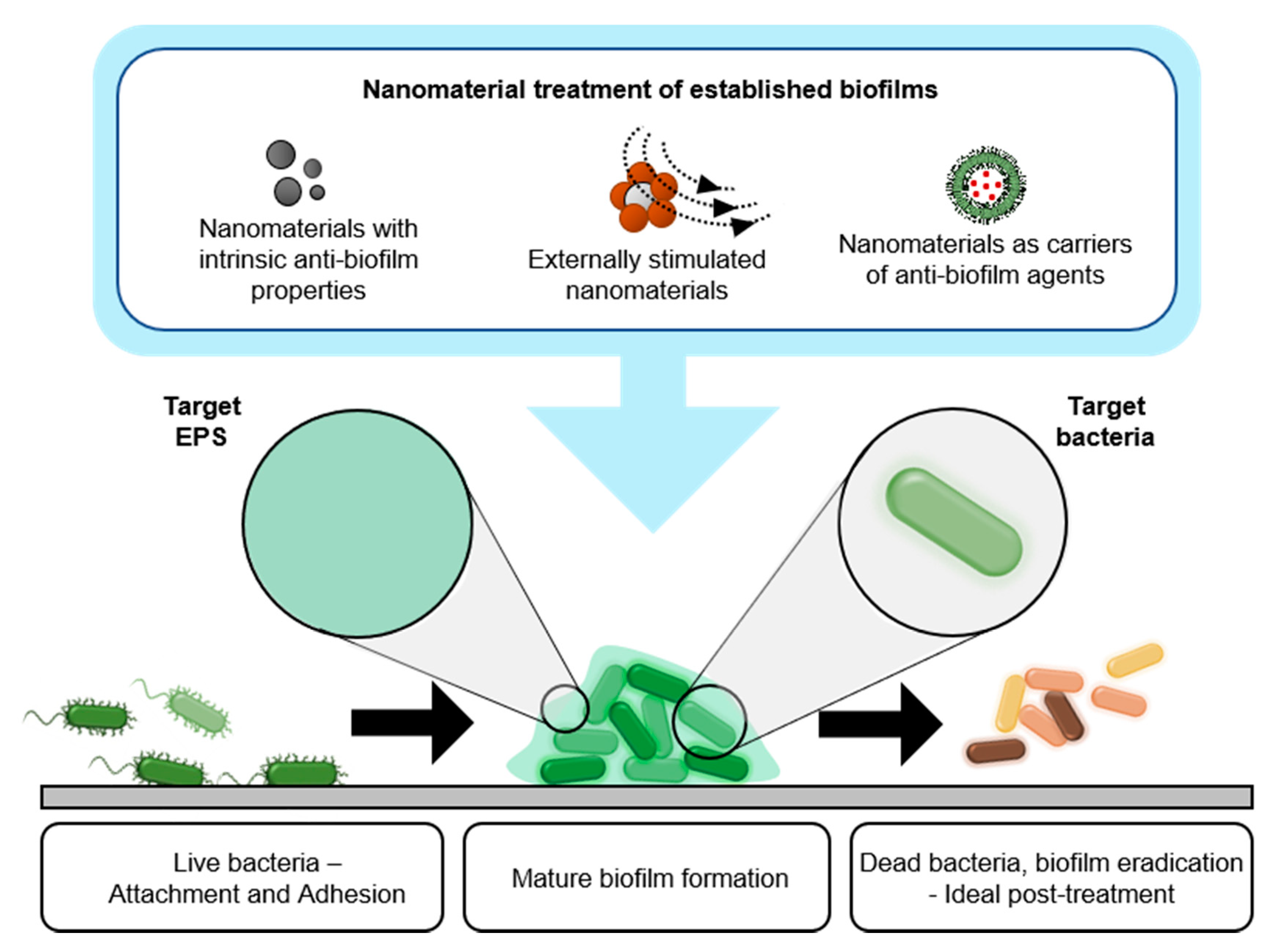 Nanomaterials for Treating Bacterial Biofilms on Implantable Medical Devices