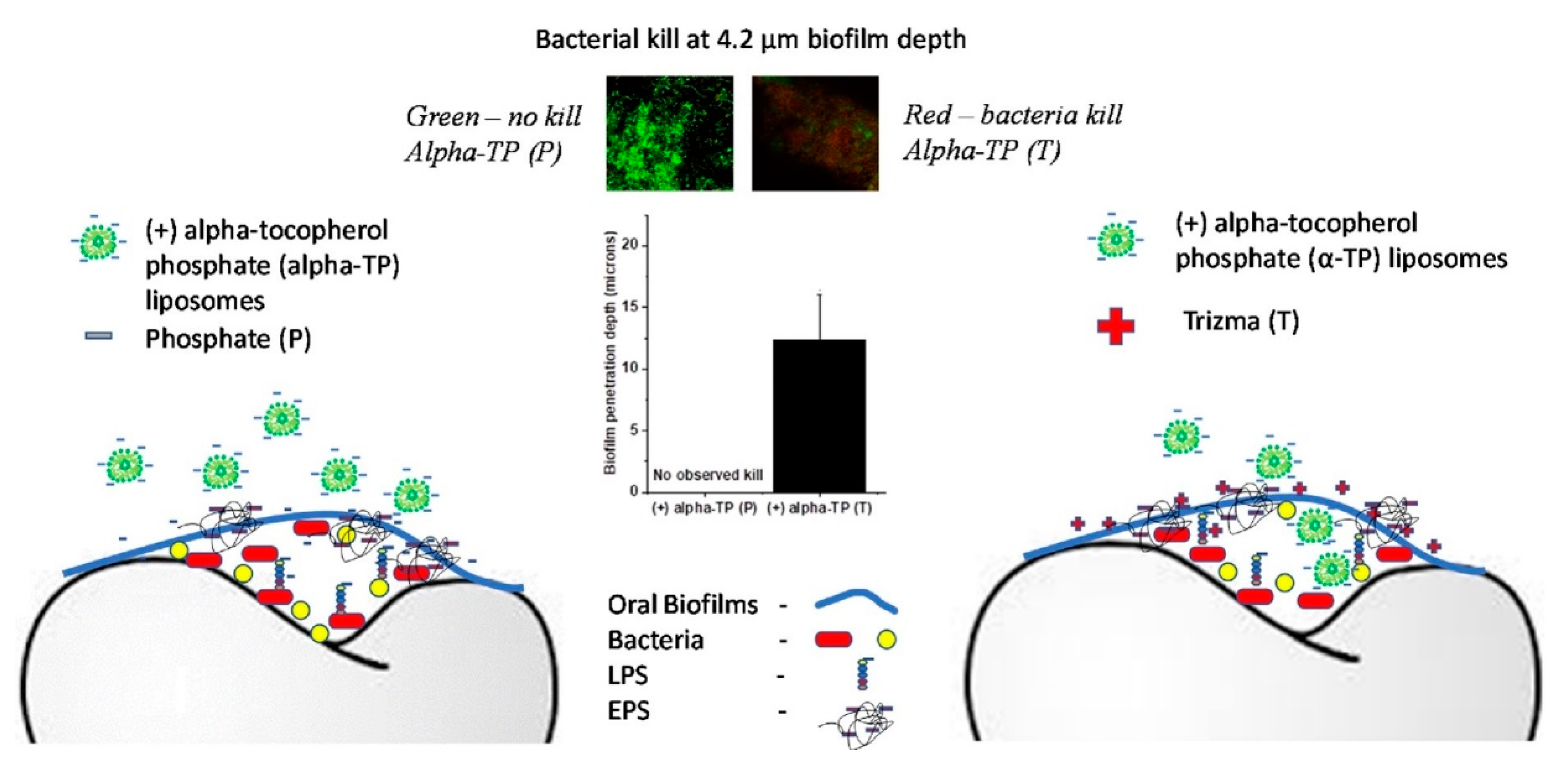Nanomaterials for Treating Bacterial Biofilms on Implantable Medical Devices