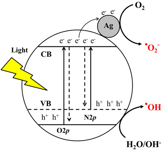 The Photocatalytic and Antibacterial Performance of Nitrogen-Doped TiO2 ...