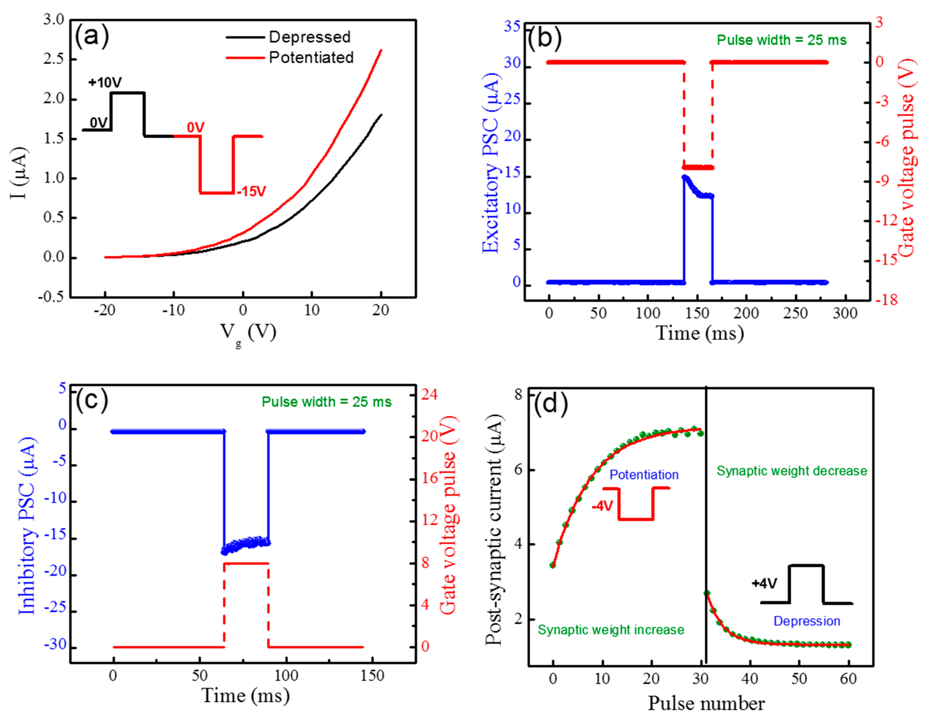 Nanomaterials | Free Full-Text | Neuro-Transistor Based on UV-Treated ...