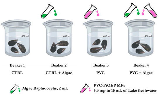 Detection of Metal-Doped Fluorescent PVC Microplastics in Freshwater ...
