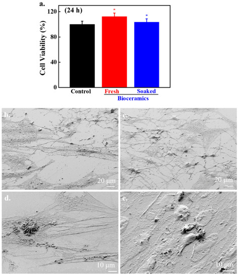 Nanomaterials | Special Issue : Novel Nano-Engineered Biomaterials for ...