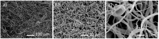Uranium Carbide Fibers with Nano-Grains as Starting Materials for ISOL ...