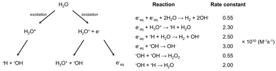 On the Primary Water Radicals’ Production in the Presence of Gold ...