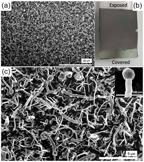 Direct Synthesis of Oxynitride Nanowires through Atmospheric Pressure ...