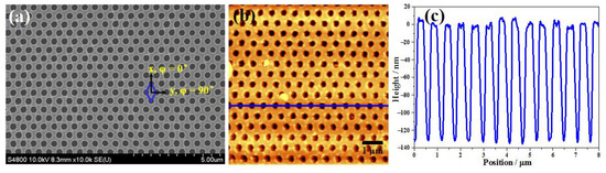 Plasmonic Gold Nanohole Arrays for Surface-Enhanced Sum Frequency Generation Detection