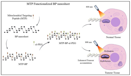 Nanomaterials | Free Full-Text | Black Phosphorus as Multifaceted Advanced Material ...