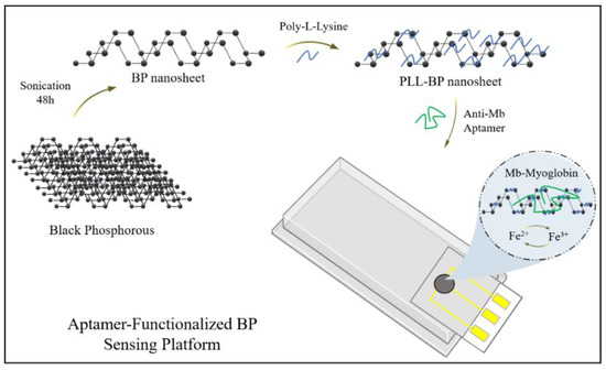 Nanomaterials | Free Full-Text | Black Phosphorus as Multifaceted Advanced Material ...