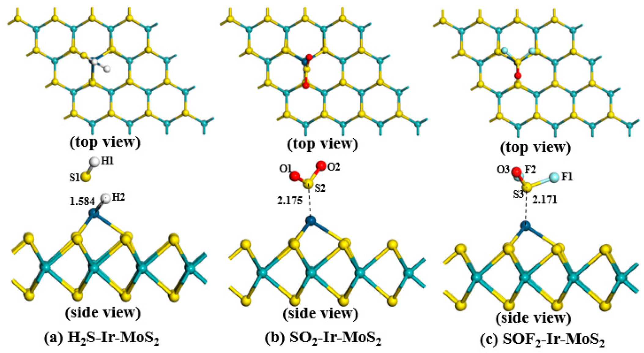 The Adsorption and Sensing Performances of Ir-modified MoS2 Monolayer ...