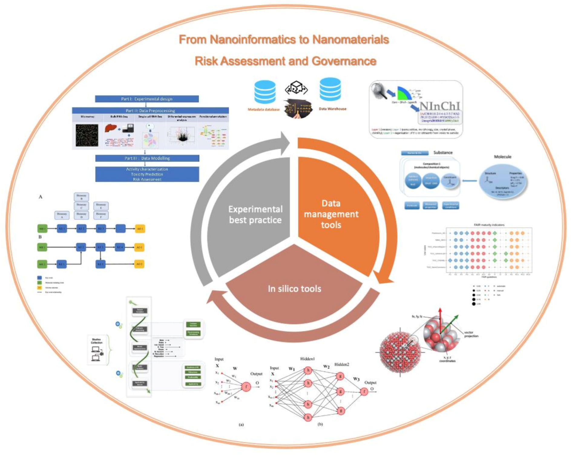 Editorial for the Special Issue From Nanoinformatics to Nanomaterials Risk Assessment and Governance