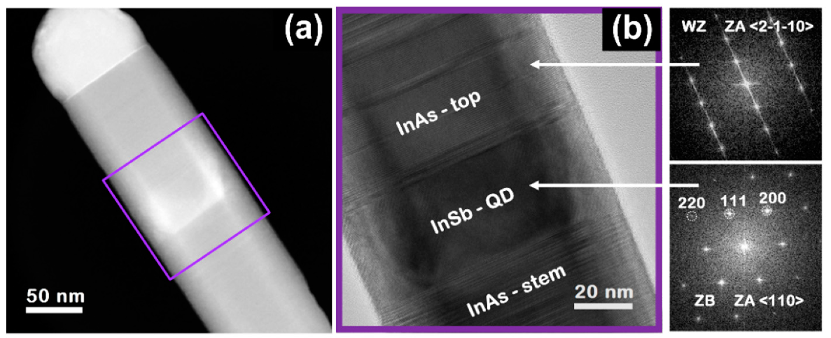 Self-Catalyzed InSb/InAs Quantum Dot Nanowires