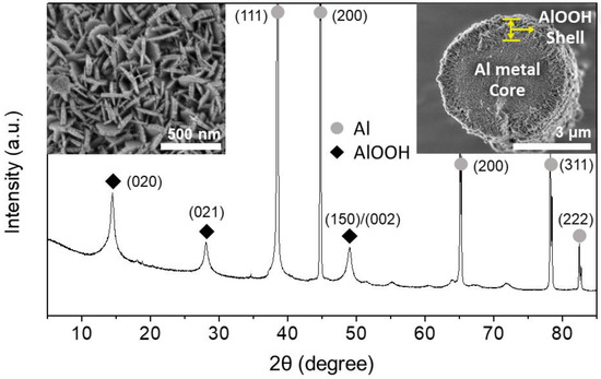 Morphology Controlled Synthesis of γ-Al2O3 Nano-Crystallites in Al ...
