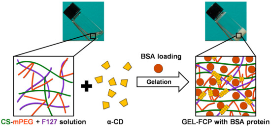Sulfur(VI) Fluoride Exchange (SuFEx)-Mediated Synthesis of the Chitosan ...