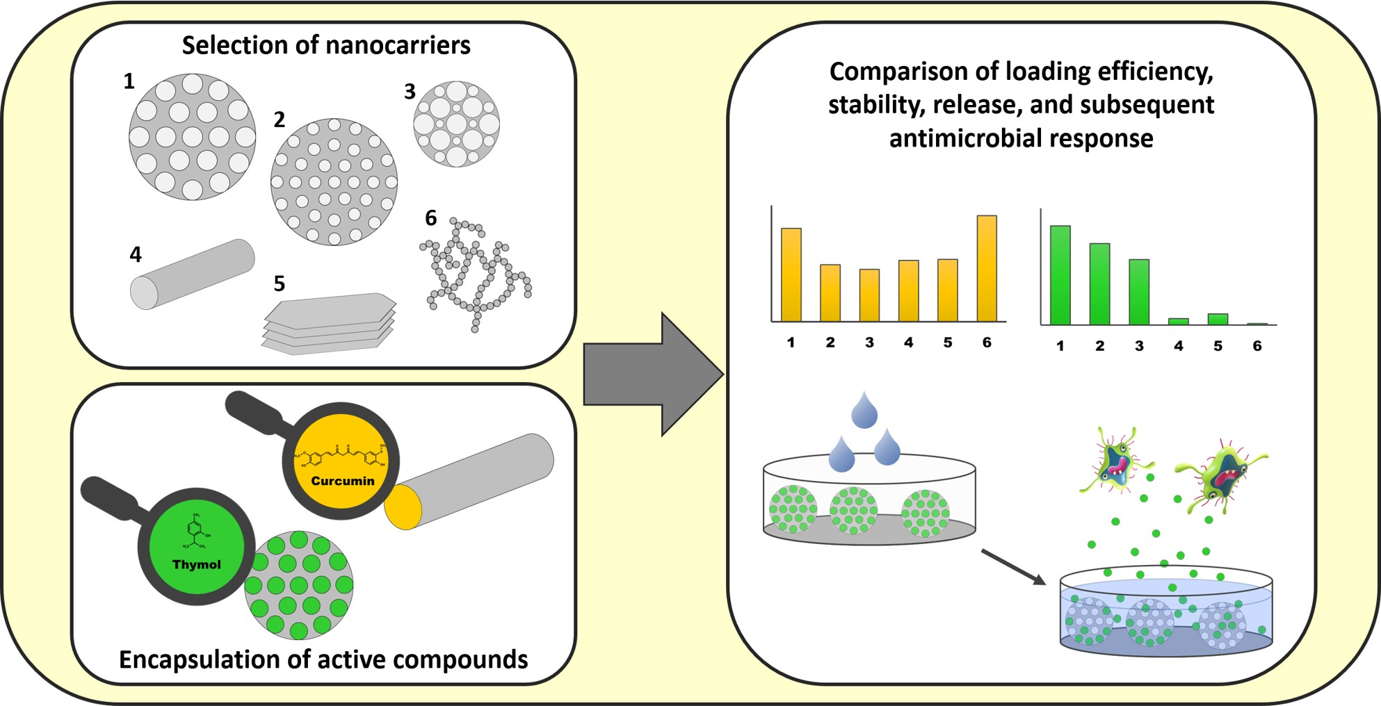 Nanomaterials | Free Full-Text | Inorganic Nanocarriers for ...