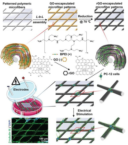 Graphene-Based Scaffolds for Regenerative Medicine