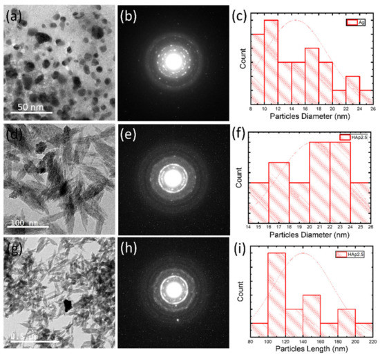Multifunctional Hydroxyapatite/Silver Nanoparticles/Cotton Gauze for ...