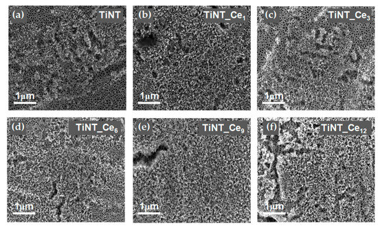 Nanomaterials | Free Full-Text | A Simple Cerium Coating Strategy for ...