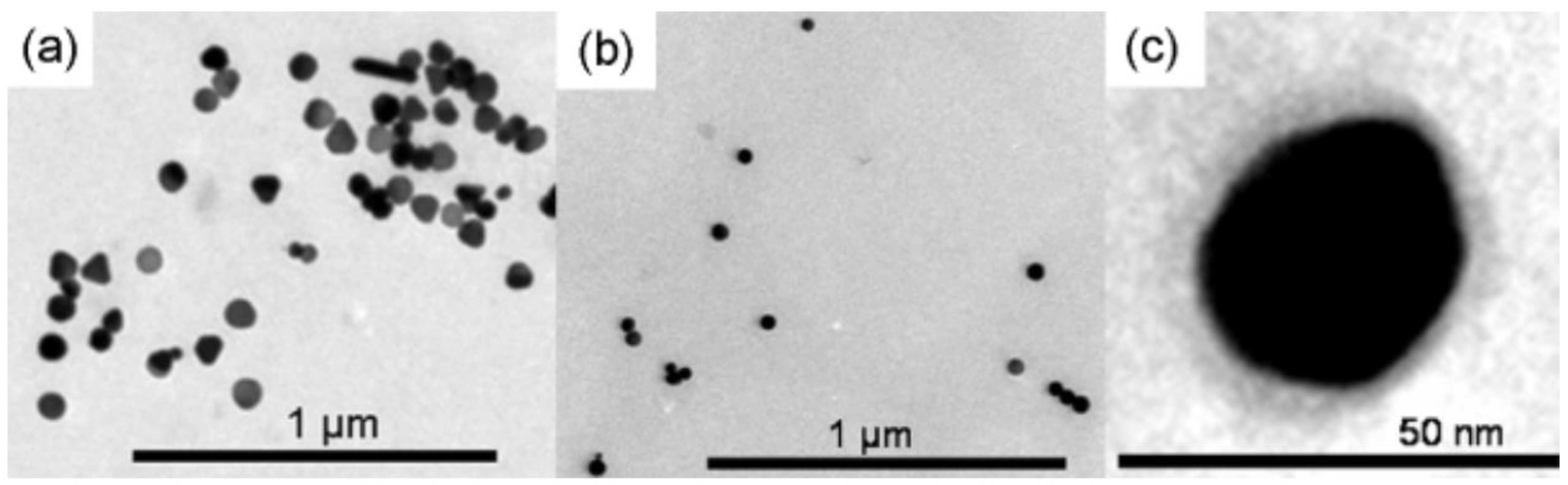 Nanomaterials | Free Full-Text | Silver Nanoparticle-Based ...