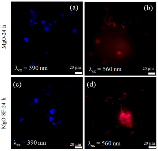 Nanomaterials | Special Issue : Fluorescent Nanomaterials and Their ...