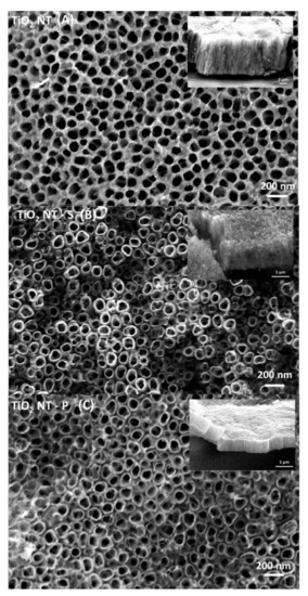 Suitability of Different Titanium Dioxide Nanotube Morphologies for ...