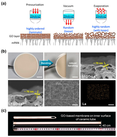 Fabrication Techniques for Graphene Oxide-Based Molecular Separation ...