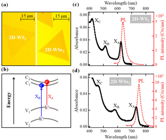 Filling Exciton Trap-States in Two-Dimensional Tungsten Disulfide (WS2 ...