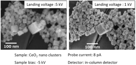 Direct Observation Techniques Using Scanning Electron Microscope for ...