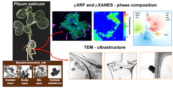 Nanomaterials | Free Full-Text | Synchrotron Radiation Spectroscopy and Transmission Electron ...