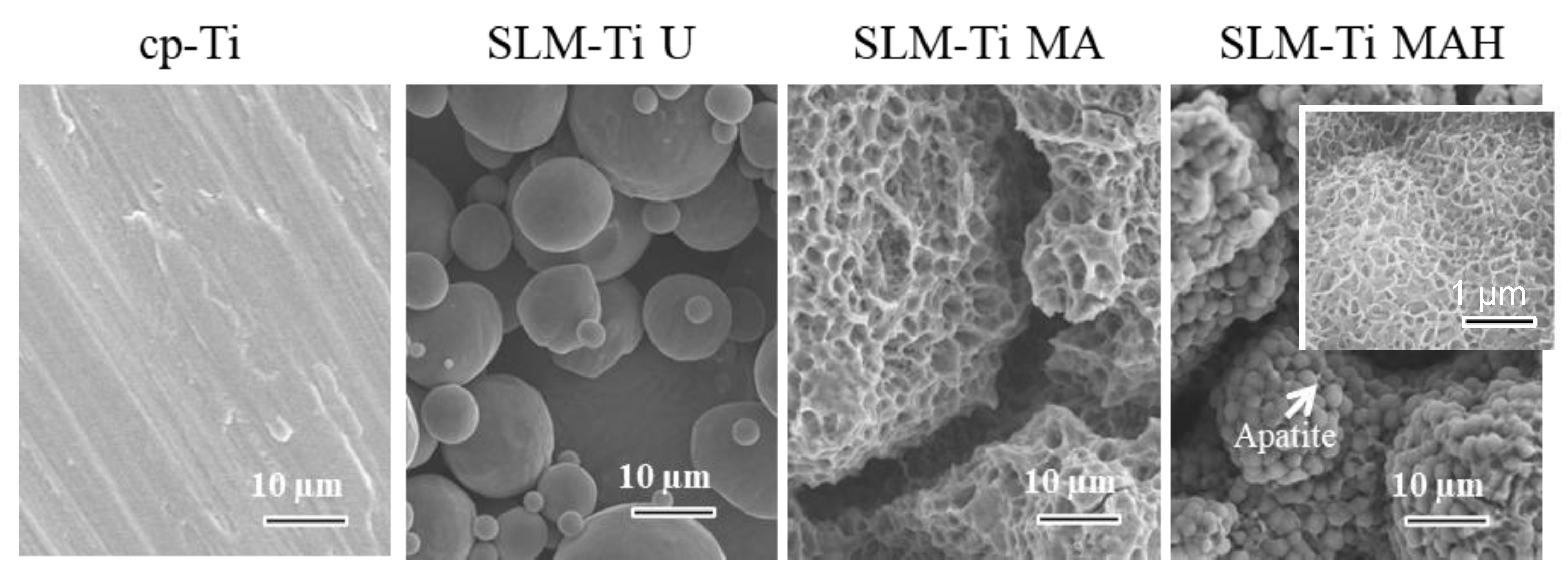 Bioactivation Treatment with Mixed Acid and Heat on Titanium Implants ...