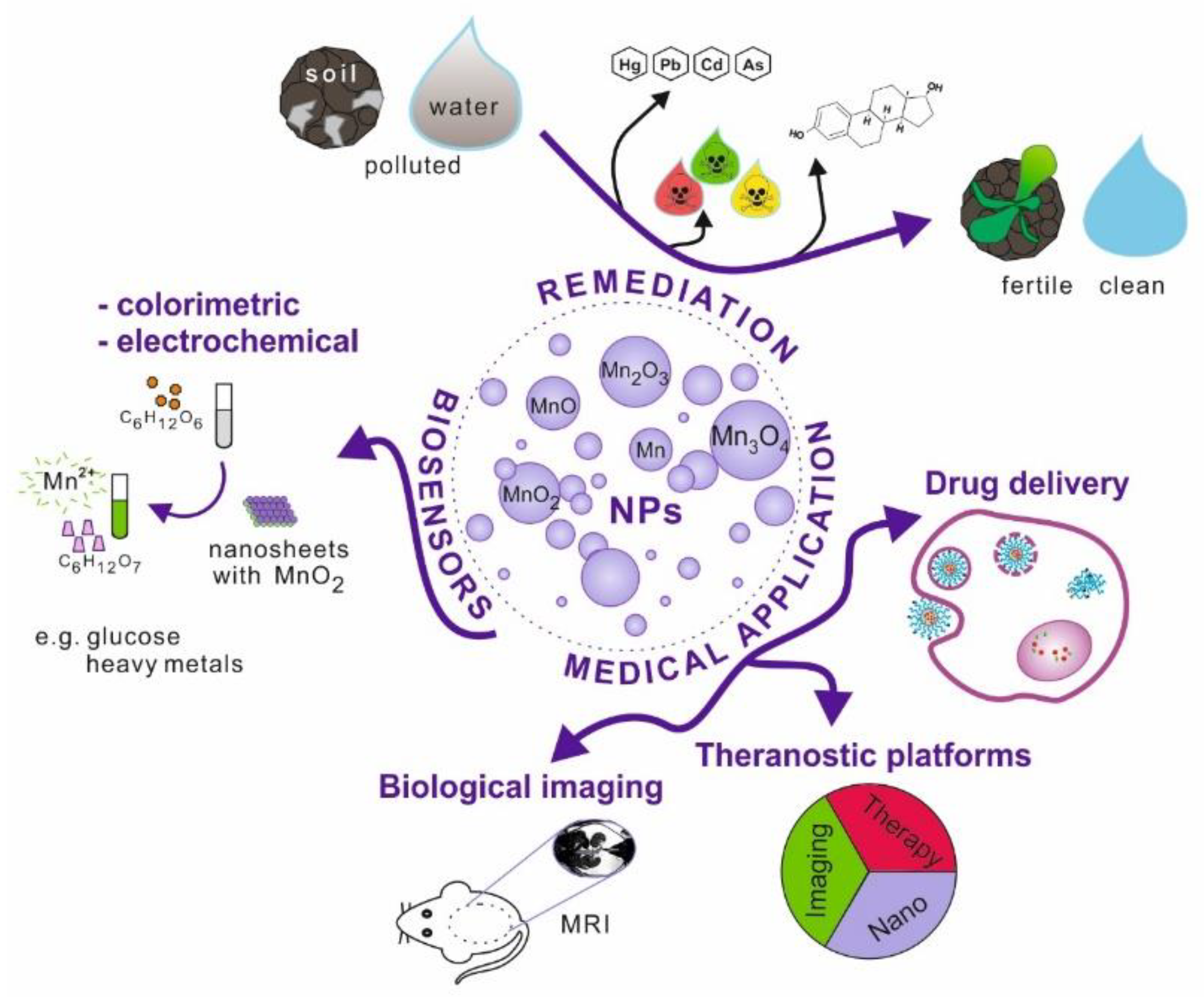 Nanomaterials Free Full Text Applications And Biological Activity