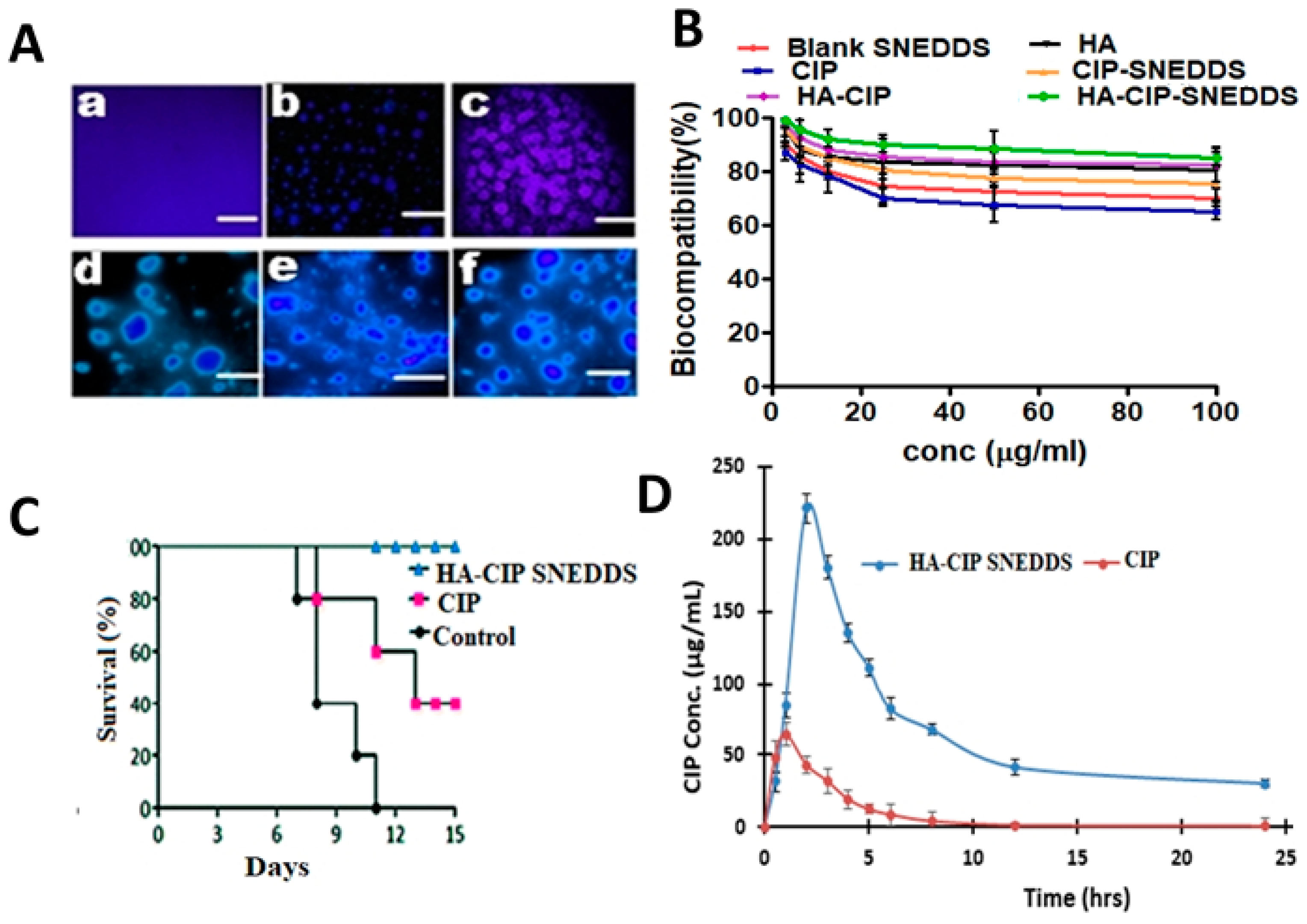A Hyaluronic Acid Functionalized Self-Nano-Emulsifying Drug Delivery ...