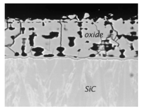 Behavior of Silicon Carbide Materials under Dry to Hydrothermal Conditions