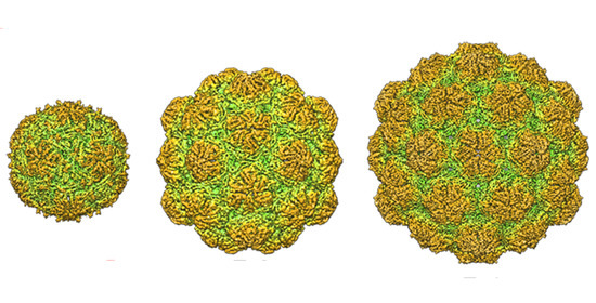 Nanomaterials | Free Full-Text | Nanotechnological Applications Based ...