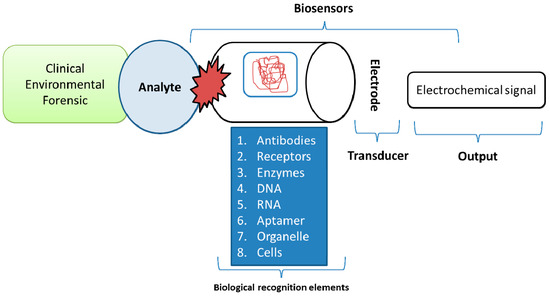 Nanomaterials | Free Full-Text | Development of Nanosensors Based ...