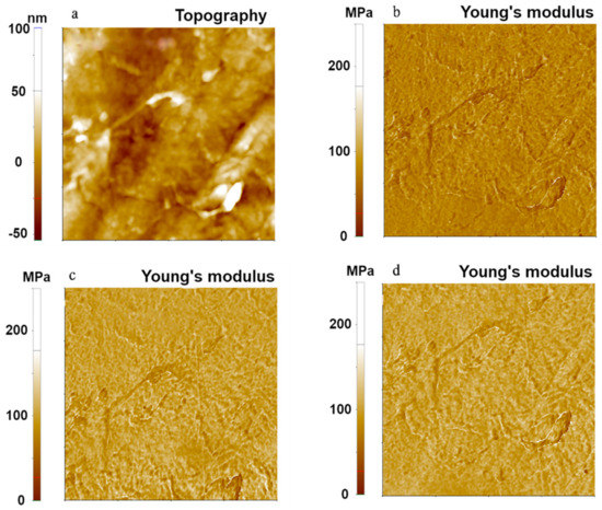 Quantitative Visualization of the Nanomechanical Young’s Modulus of ...