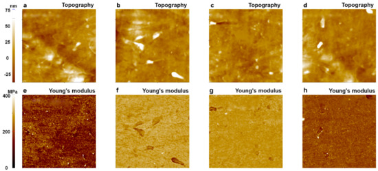 Quantitative Visualization of the Nanomechanical Young’s Modulus of ...