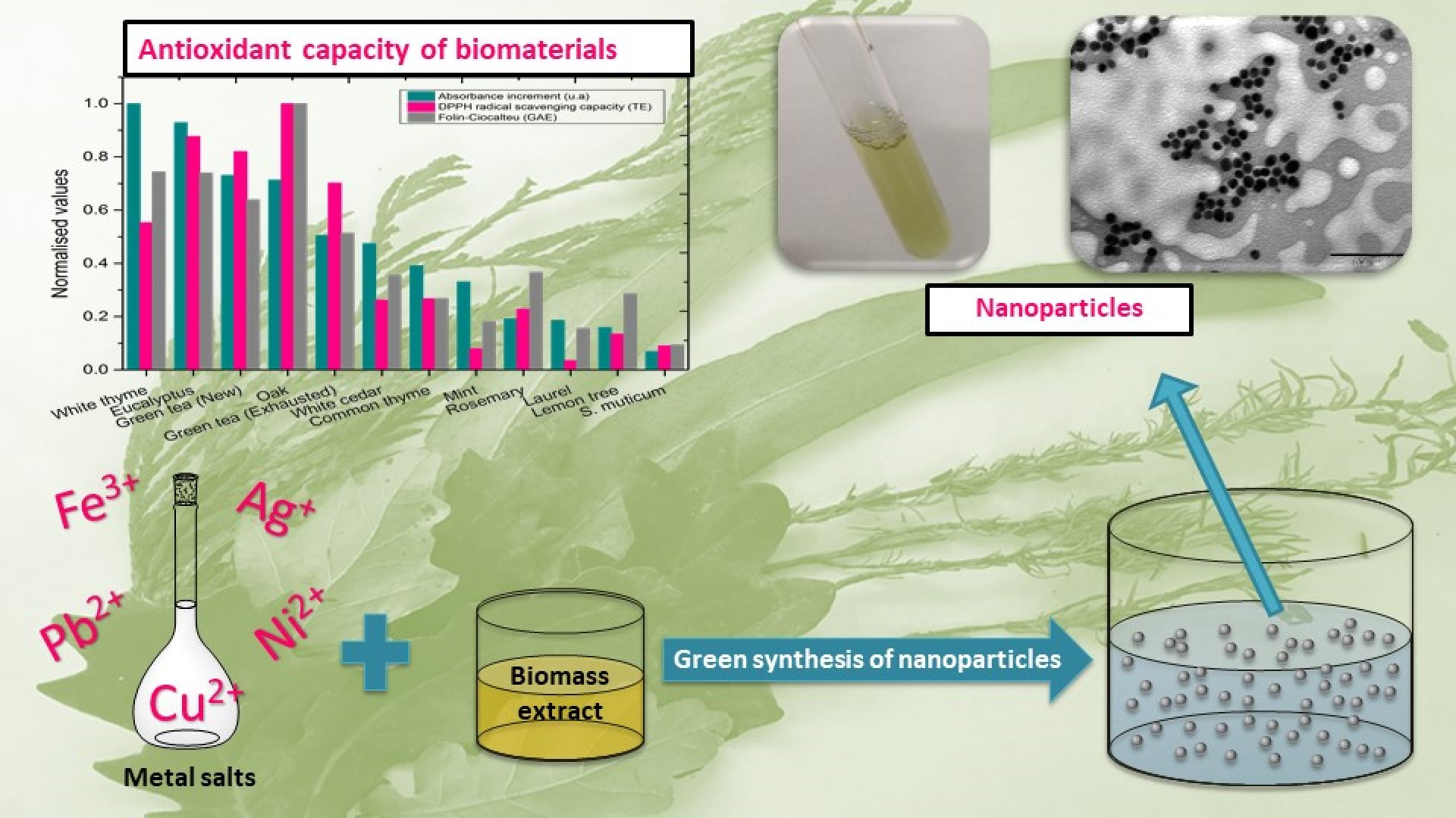 Nanomaterials | Free Full-Text | Antioxidant Capacity Assessment of ...