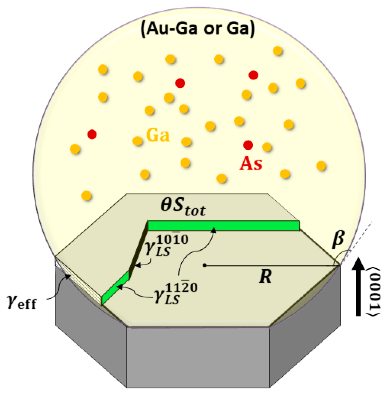 Dynamics of Monolayer Growth in Vapor–Liquid–Solid GaAs Nanowires Based ...