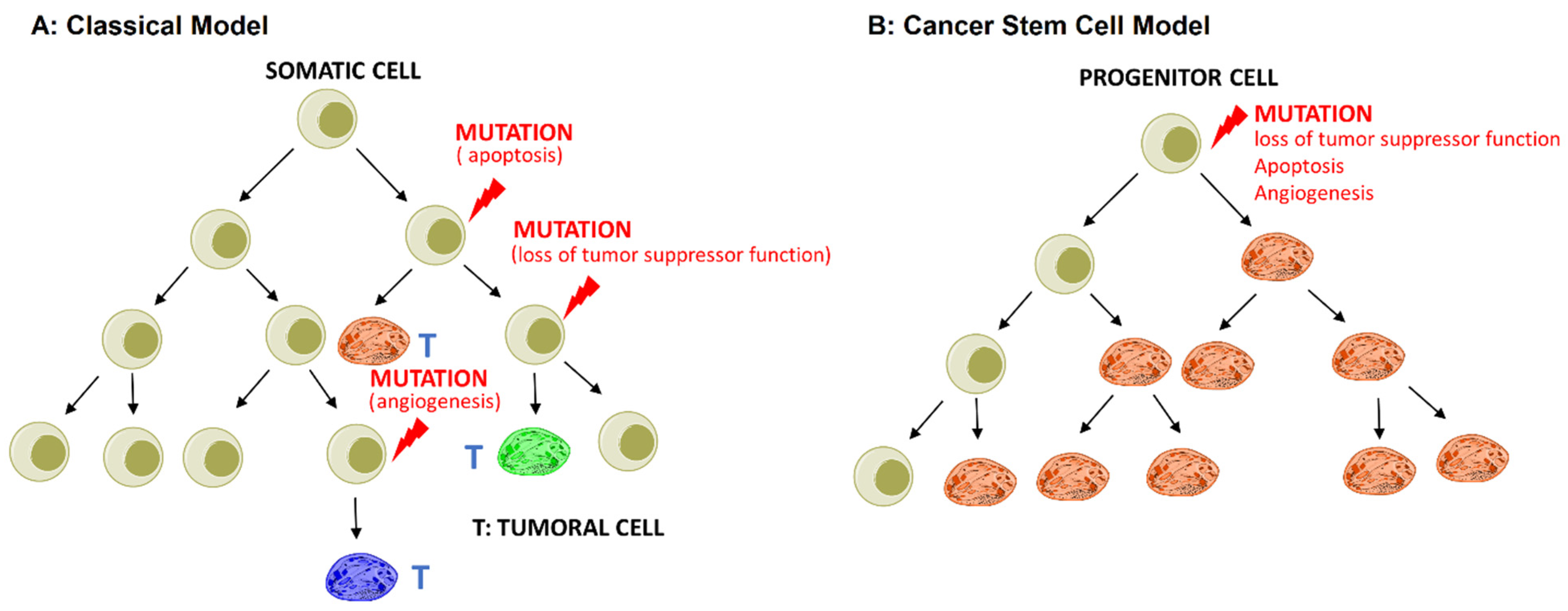 Nanoparticles for Targeted Drug Delivery to Cancer Stem Cells: A Review ...
