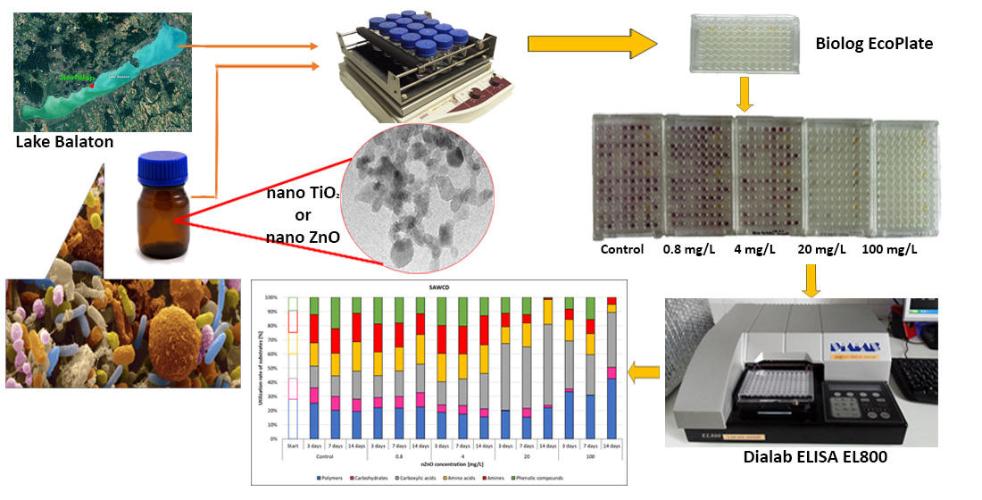 Nanomaterials | Free Full-Text | The Biolog EcoPlate™ Technique for ...