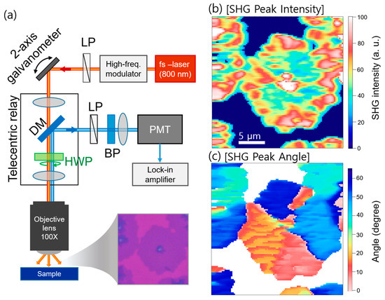 High-Speed Imaging of Second-Harmonic Generation in MoS2 Bilayer under ...