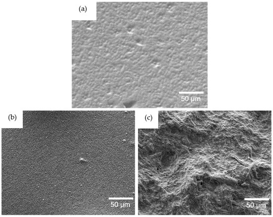 Cellulose Nanocrystals vs. Cellulose Nanofibers: A Comparative Study of ...