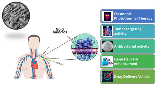 Multifunctional Gold Nanorod for Therapeutic Applications and ...